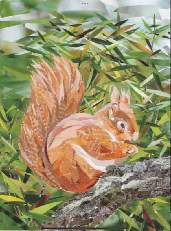 The Red Squirrels of Tresco Original Paper Collage Art