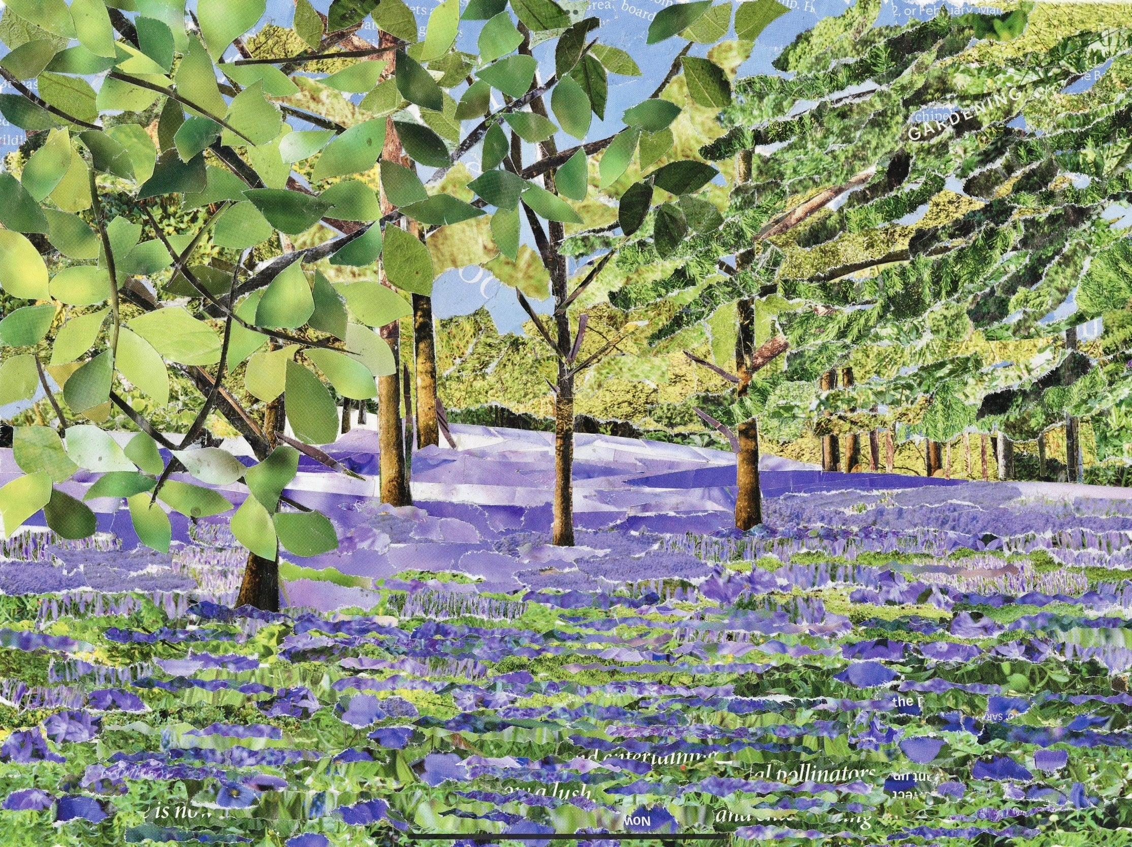 Bluebells in Cornwall Paper Collage Art Print.